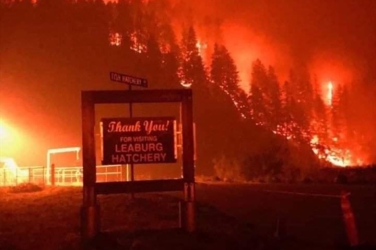 Fundraiser by Casey Chafin : McKenzie River Shuttle & Employee’s ...