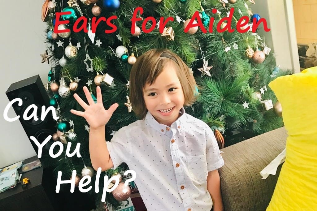 Fundraiser by Lynda Morrison : "Ears For Aiden"