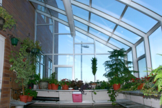 Fundraiser for Christopher Dost by Anna Dost : WHS’ Greenhouse Renovation