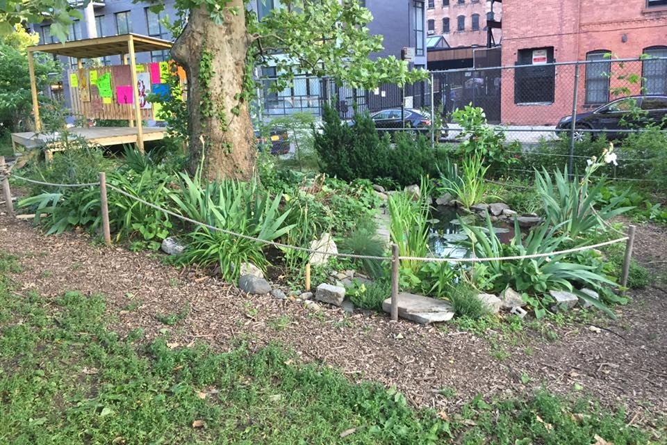 Fundraiser by Maria Sola Core Stewards : Support Maria Sola Green Space