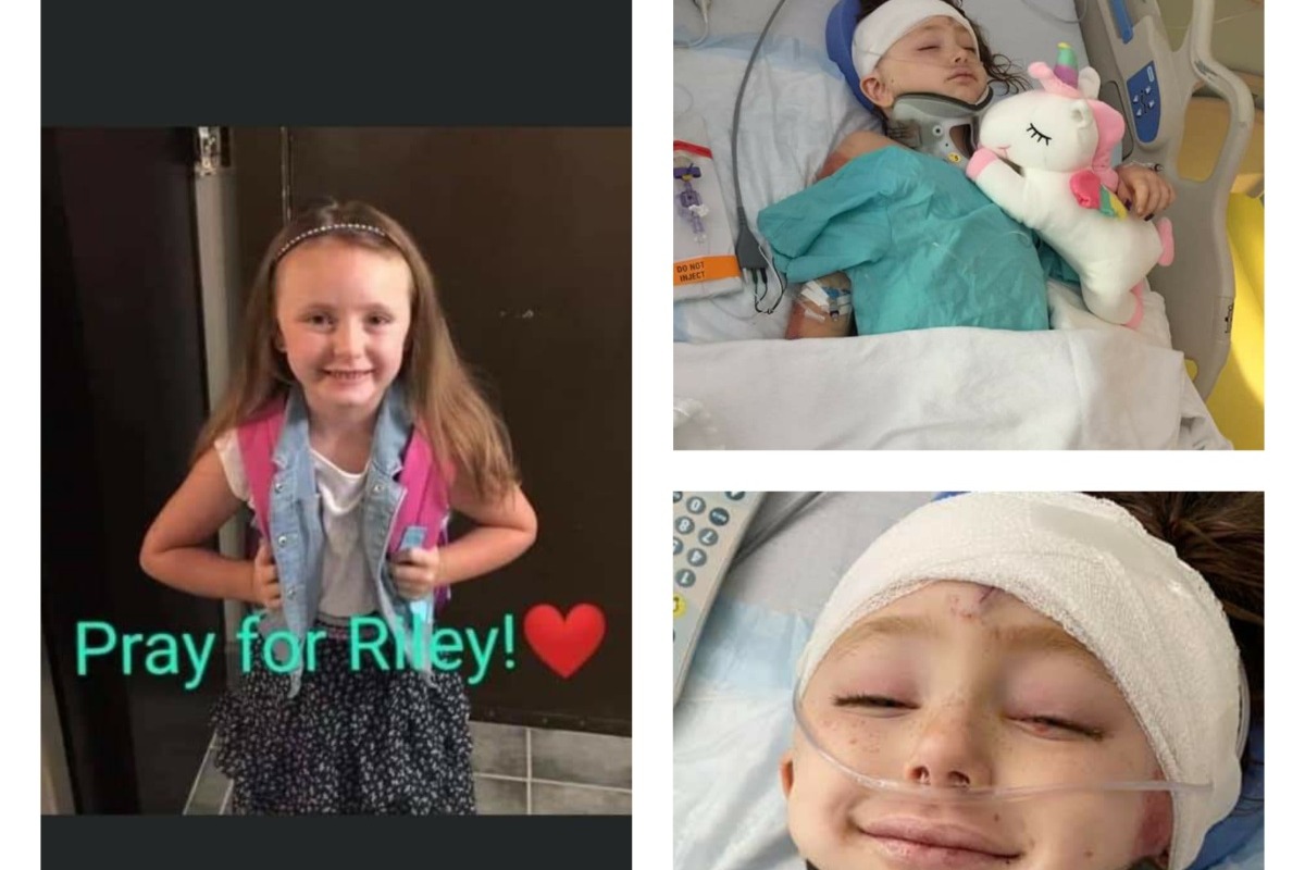 Fundraiser for Brandy Weldy by Donny N Chrissy Bos : Riley Roo's ...