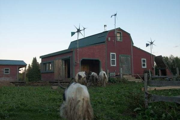 Fundraiser for Chris Devaney by Nancy LaMonica : The Yak Outback