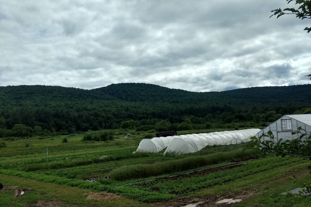 Fundraiser for Walter Riesen by Star Route Farm : Star Route Farm Food ...