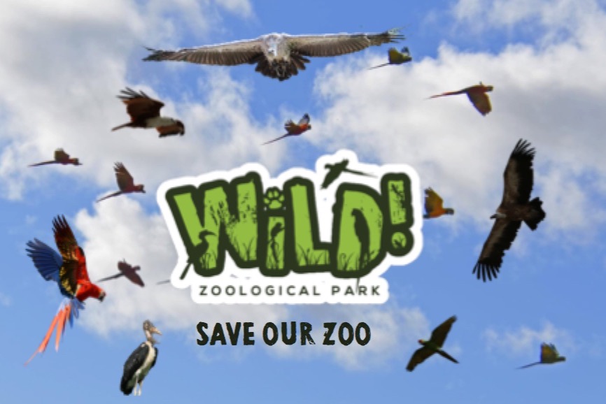 Fundraiser by Alice Spark : Save Our Zoo - Wild Zoological Park