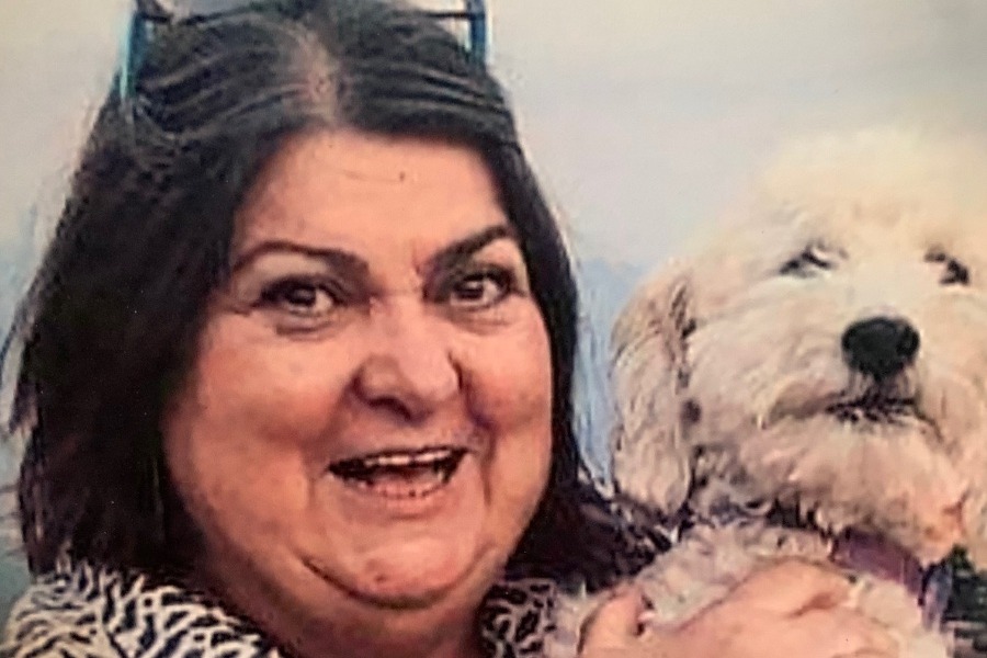 Fundraiser for Sarah Hancock by Elizabeth Urban : Debbie Hancock