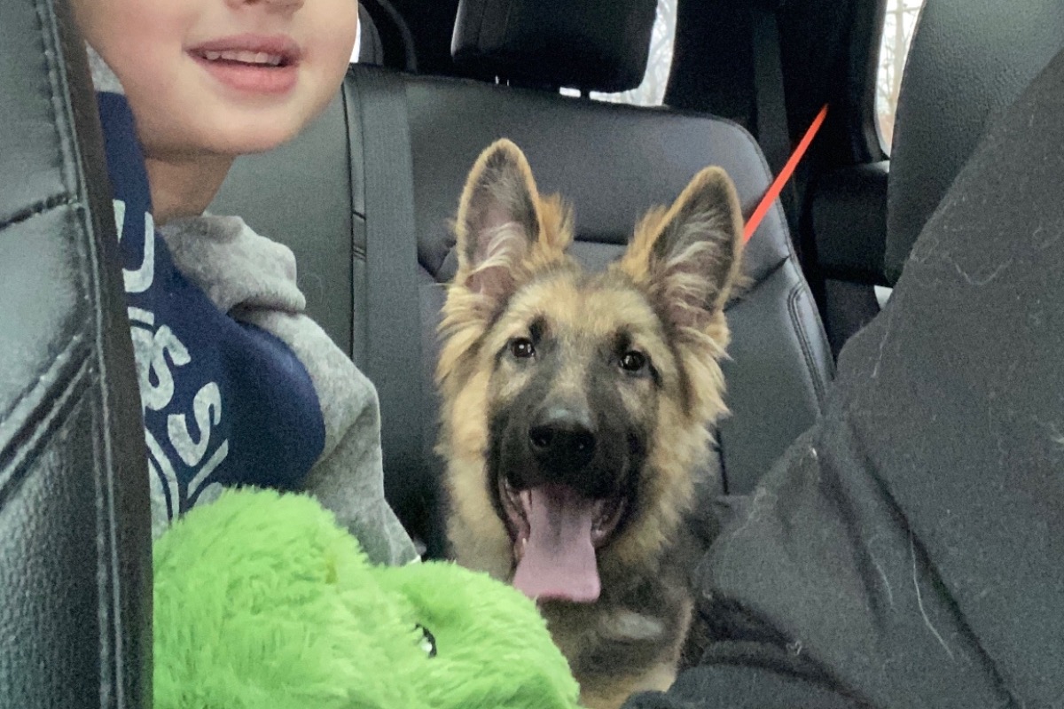 Fundraiser by Carrie Moak : JoJo's Journey