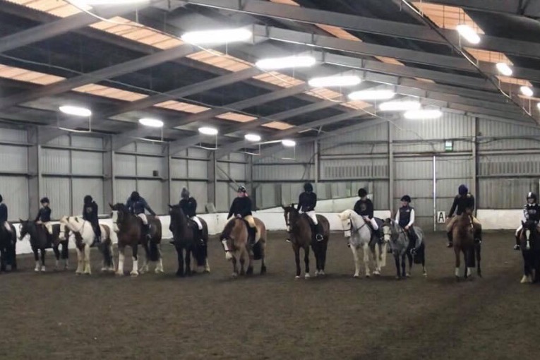 Fundraiser by Jane Holdsworth : Help Radway ponies during lockdown #3