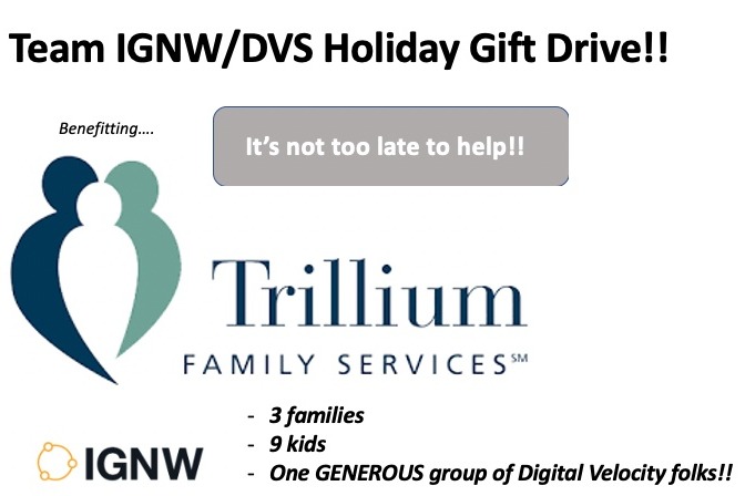 Fundraiser by Andrew Cadwell : IGNW Trillium Holiday Gift Drive!!!