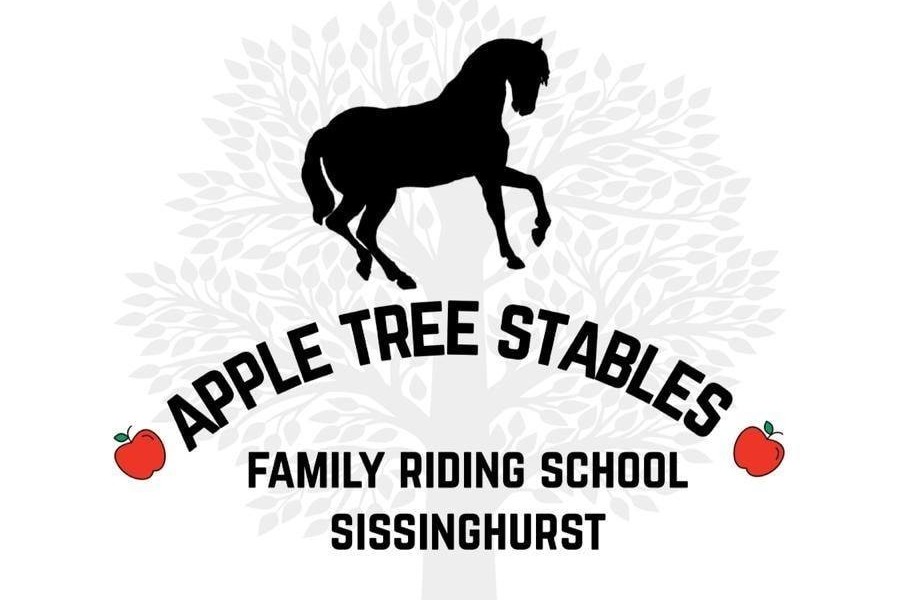 Fundraiser by Meg Davies : Apple Tree Stables Arena Refurbishment