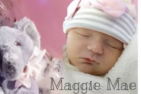 Fundraiser for Kinsey Morgan by Billie Gibbs : Help for Baby Maggie Mae ...