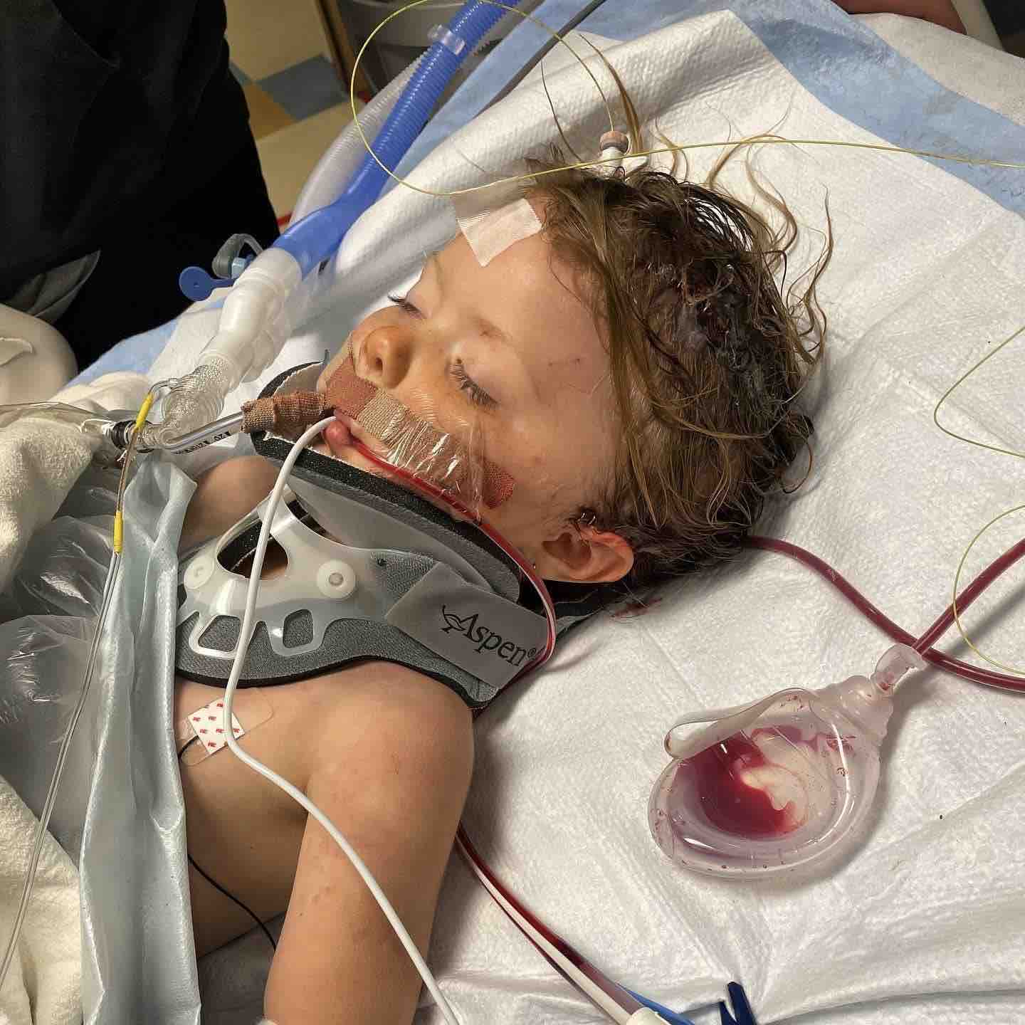 Fundraiser for Cortney Black by Mackay Johnson : Evies Army