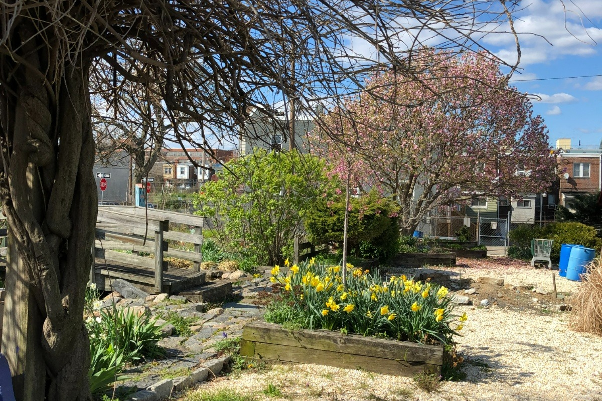 Fundraiser for Aspen Farms Community Garden by Wanda Scott : Aspen ...