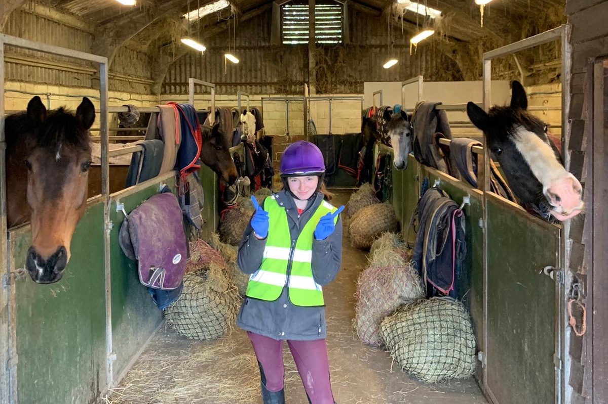 Fundraiser by James Embery : Help Mill Lane Riding School