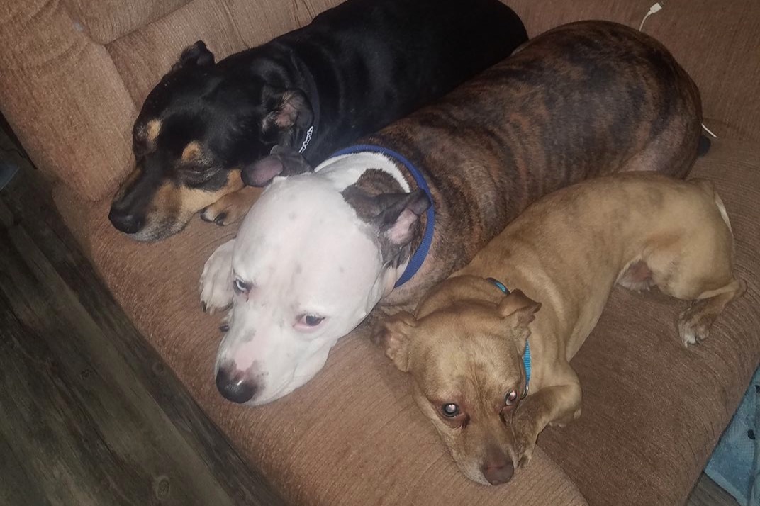 Fundraiser for Debbie Duley by Bobbi Duley : Travis Duley Fire Relief Fund