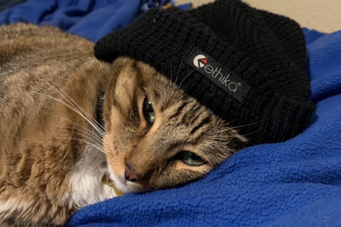 Fundraiser for Danielle Juarez by Ashley Campbell : Help Django Get His ...