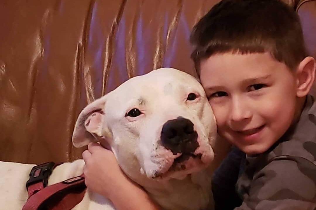 Fundraiser by Jennifer Salvemini : In Memory of Louis Salvemini for his ...