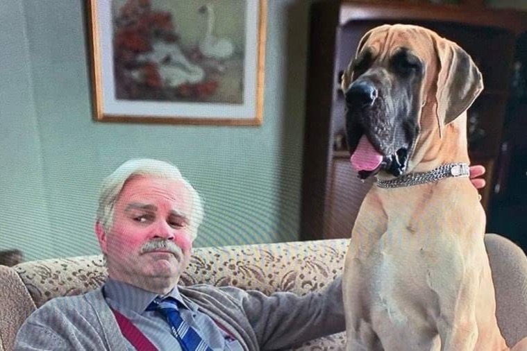 Fundraiser by Lyn McCann : Sheldon desperately need eye surgery