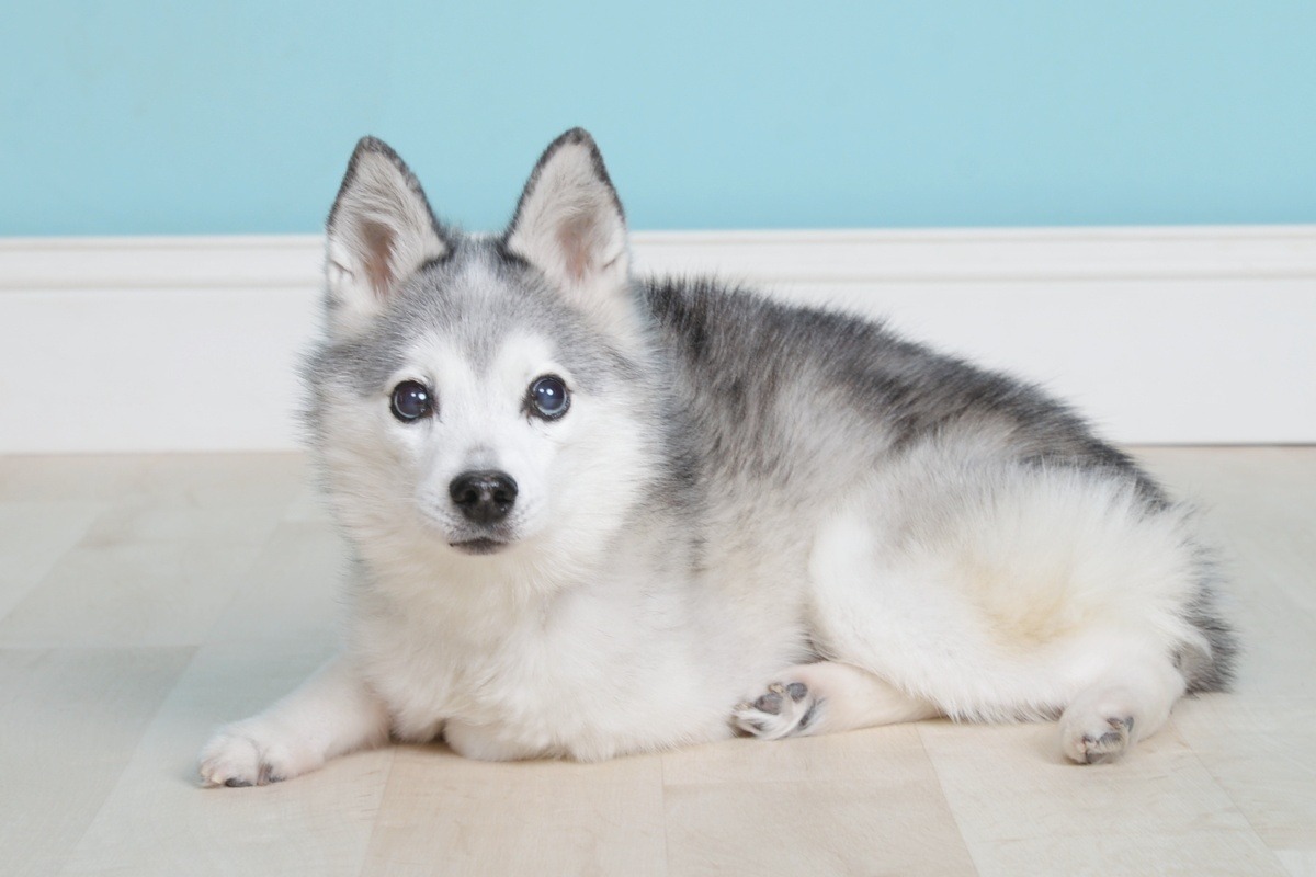 Fundraiser by Jaime Schultz : Coby's Medical Bills