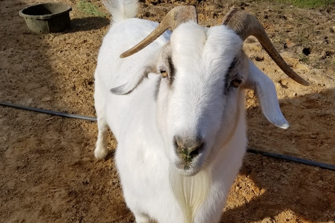 Fundraiser for Laura Swien by AMY JUBRAN : Bob Swien Memorial - Pair A ...