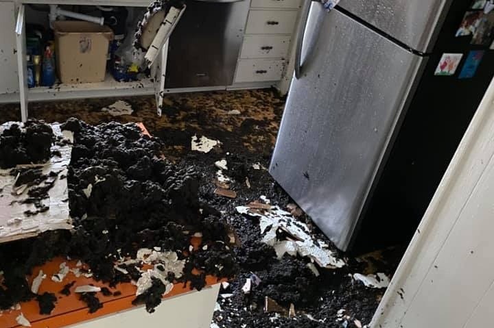 Fundraiser for Sarah Harmeyer by Ronne Rock : Help Sarah Repair Her ...