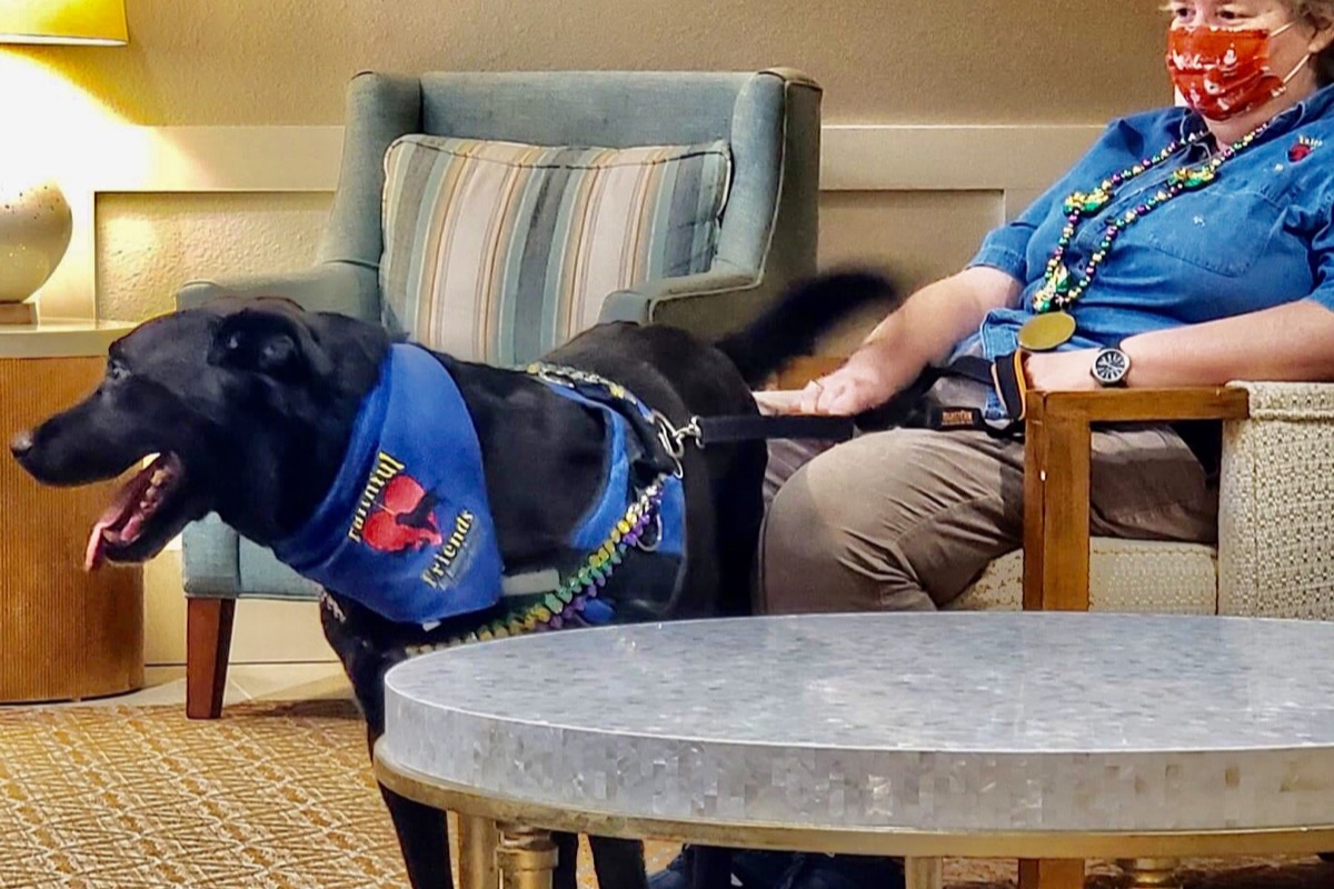 Fundraiser for Shari Ferguson by Nancy Steger : Help out our Faithful ...