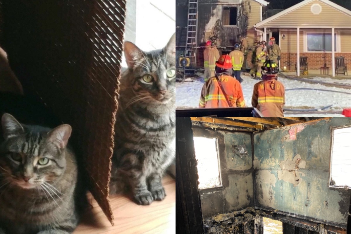 Fundraiser For Carlena Lindsey By Cameron Lindsey House Fire Lost