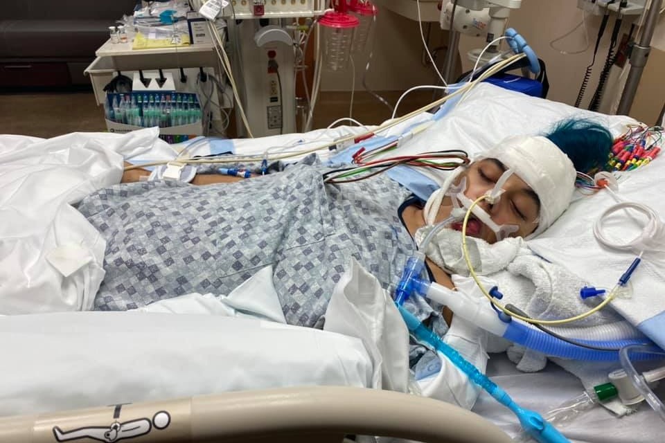 Fundraiser for Jessica Seldin by Jesse Miller : Bella's Buddies ...