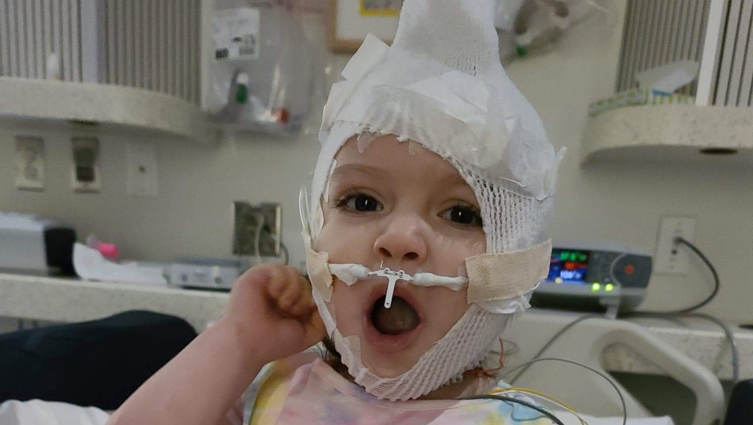 Fundraiser for Andrew Bonomini by Heidi Ochs : Help Delilah's Family ...