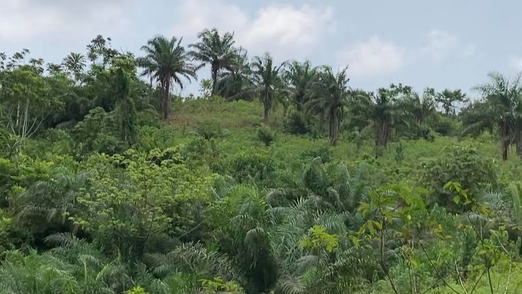 Fundraiser for Zayloc Shuja by Azad Shuja : Help Build The Our Natural ...