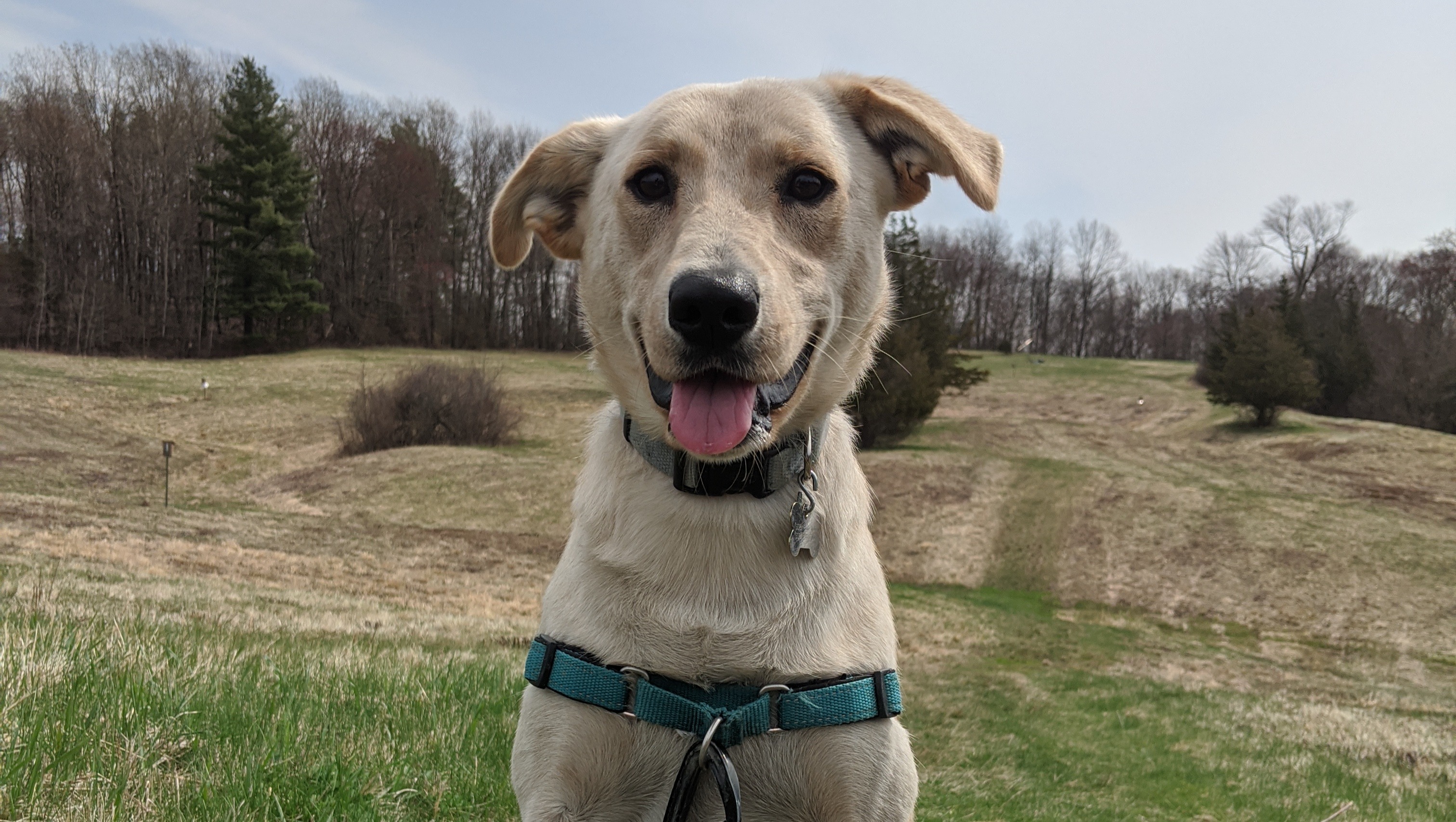 Fundraiser for Ryan Caster by Megan Murphy : Help Juniper See a ...