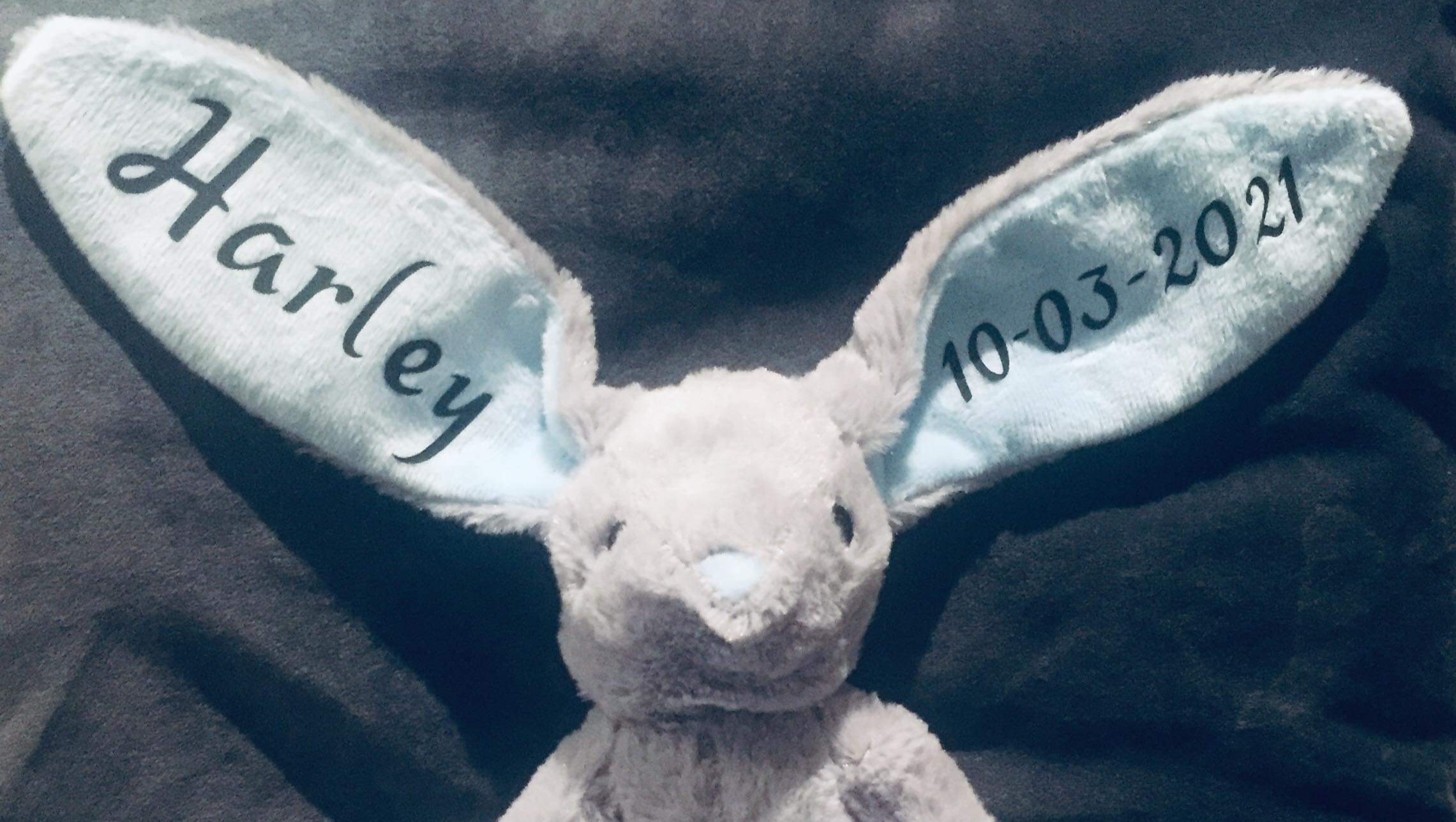 Fundraiser by Ryan Pennock : Harley's Journey To Heaven