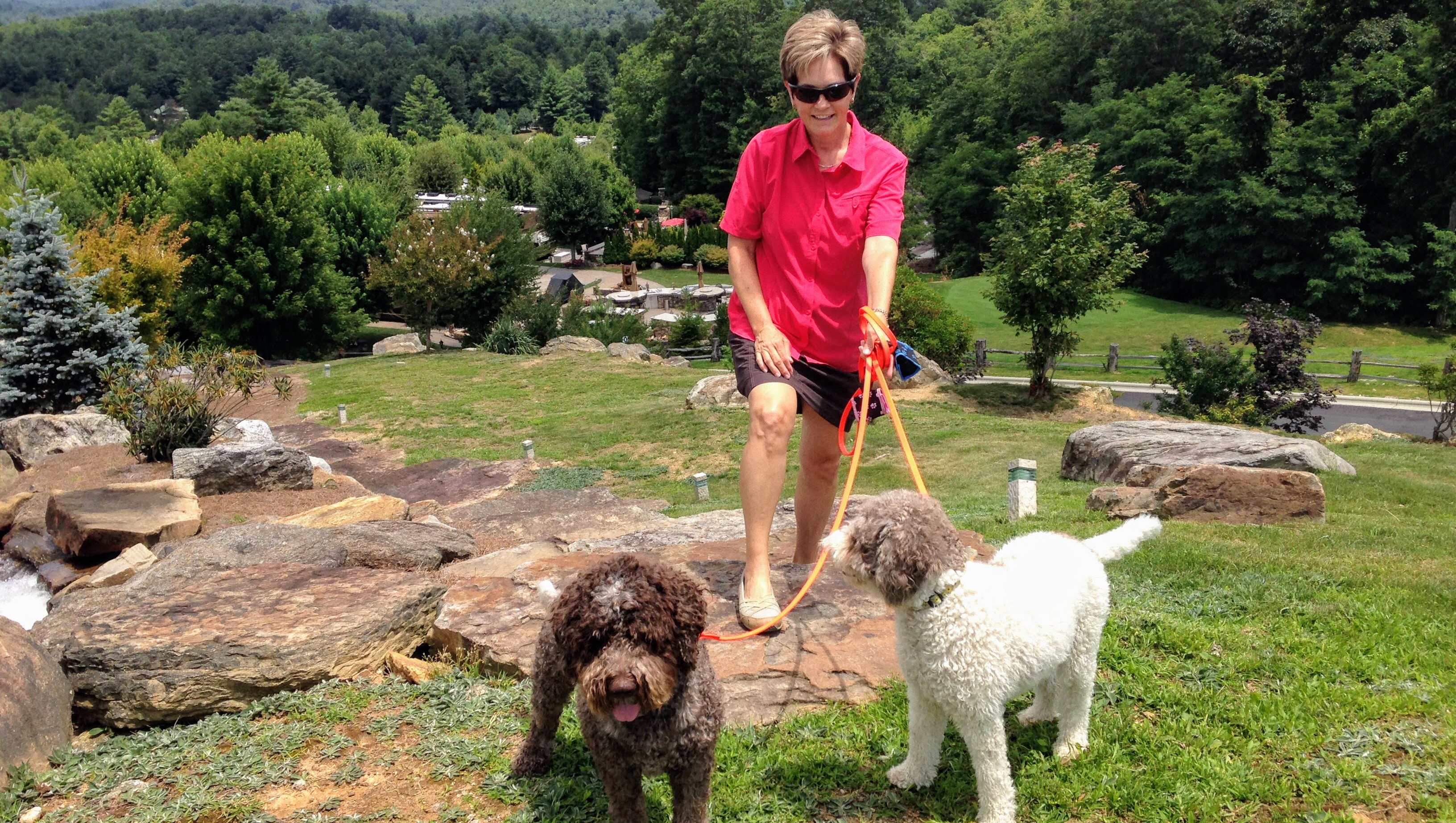 Fundraiser by Stephen Furry : Amy Edenburn Furry Memorial Dog Trail