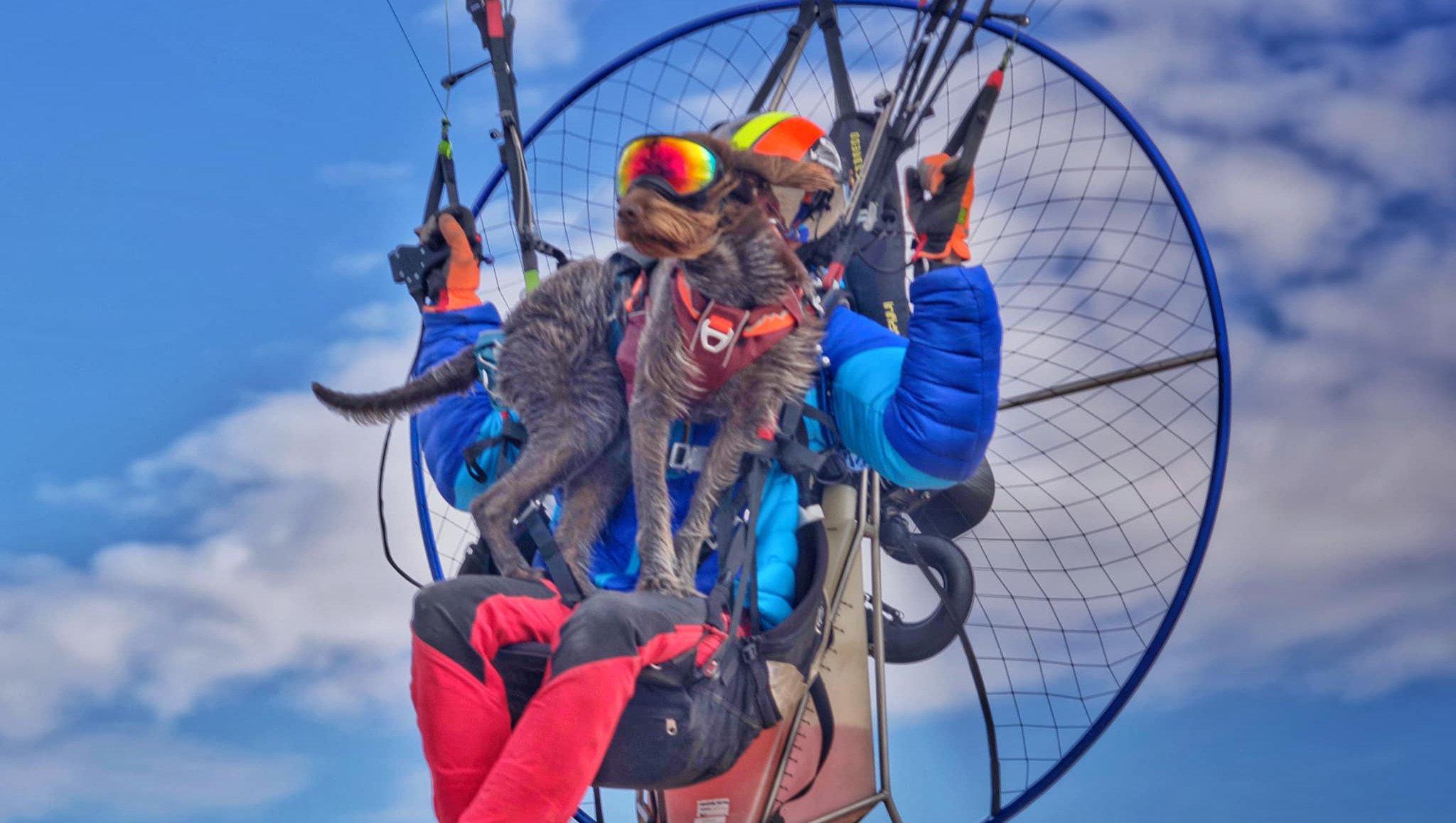 Fundraiser for Kim Laporte by Tyler Vowles : Dustin Apgar Memorial Fund