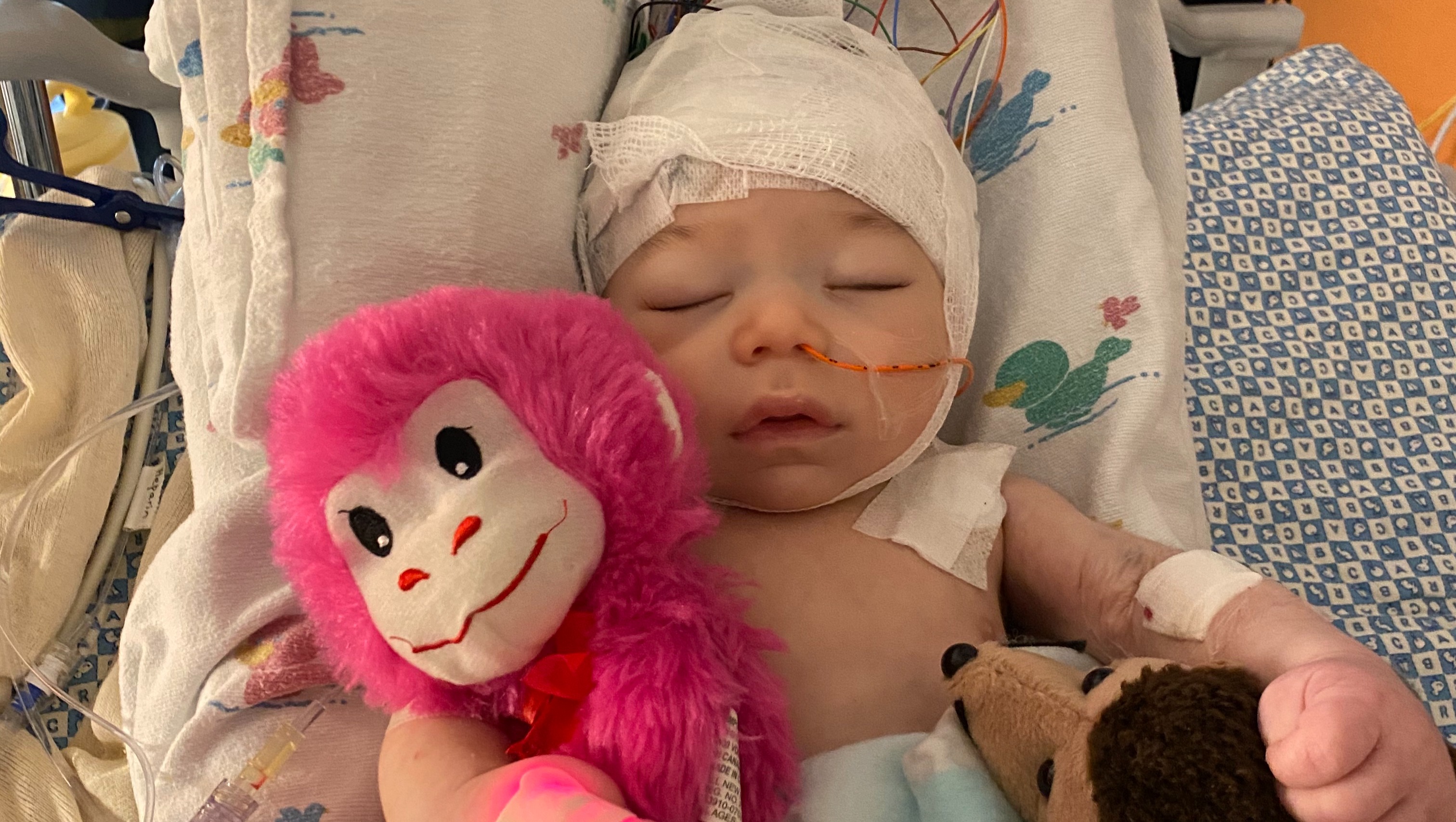 Fundraiser for Allie McGee by Mia Getlin : Carver McGee Care Fund