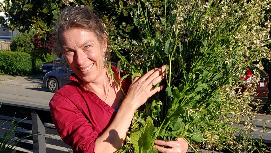 Fundraiser by Vanda Evans-Young : Help replace Vanda's stolen catalytic ...