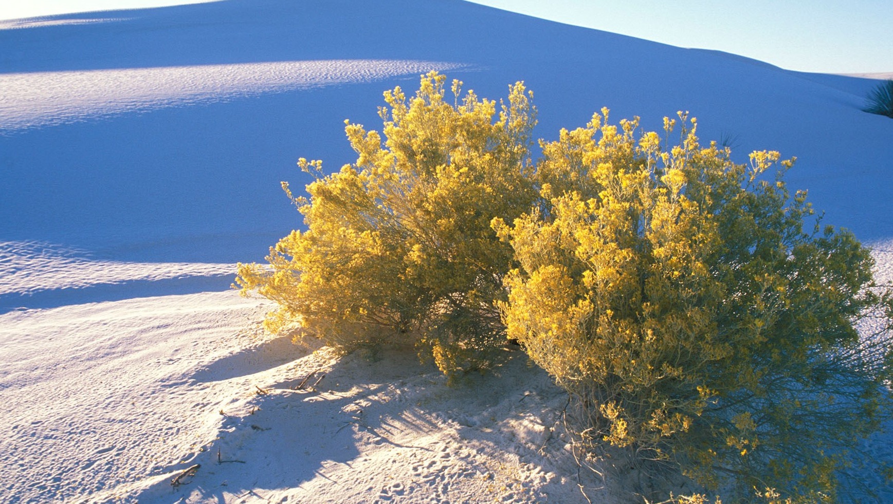 Fundraiser by Jeremy Dew : Help Hannah and Rowan not loose their car