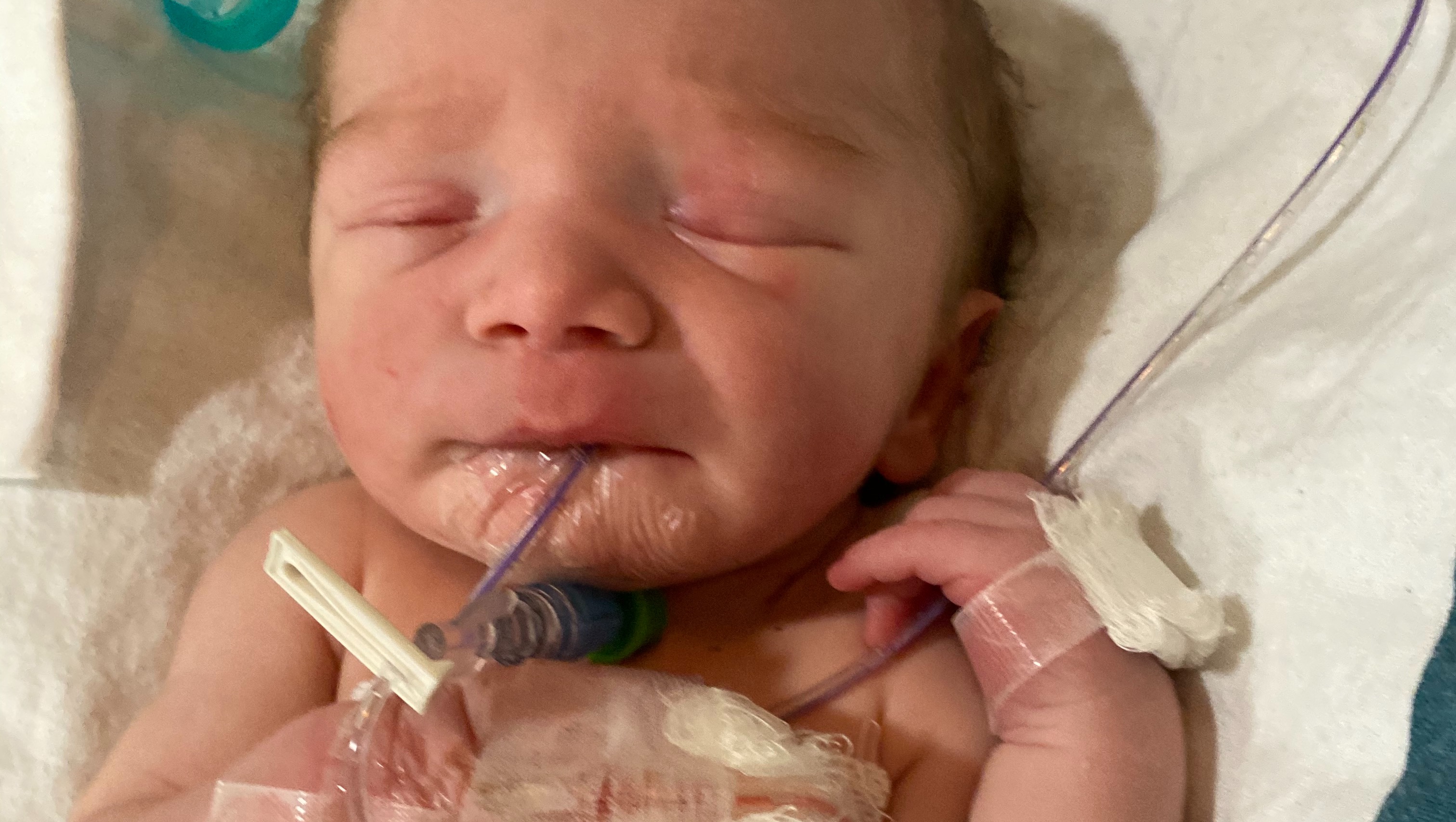 Fundraiser for Katie Monteleone by Taylor Sansovich : The Monteleone Family