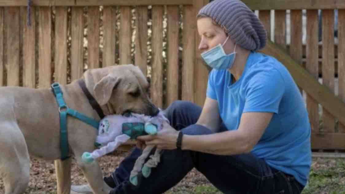 Fundraiser by Caroline Brannin : Atticus, Turner, and Brutus Road Trip!