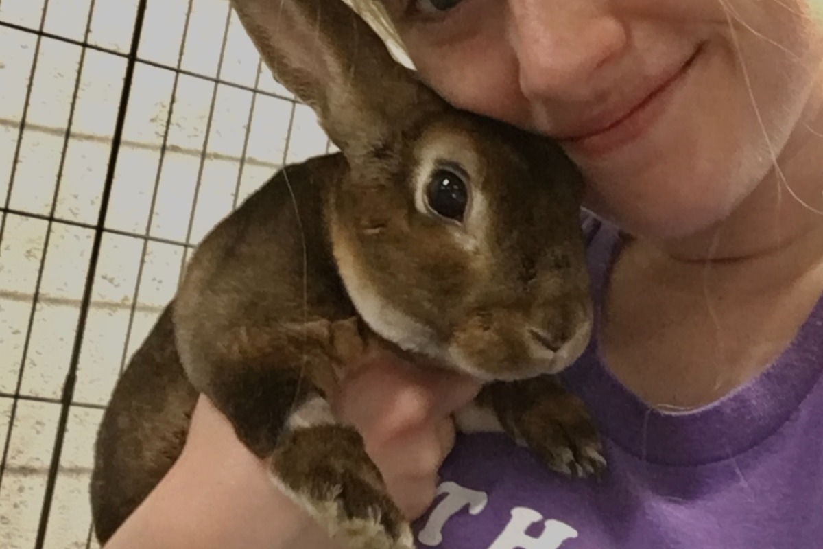 Fundraiser by Barbara Burdick : Barley is Bouncing Again!