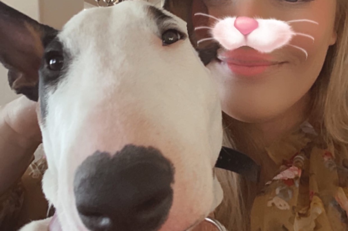 Fundraiser by Jessica Jankowski : Josie’s Emergency Medical Bills