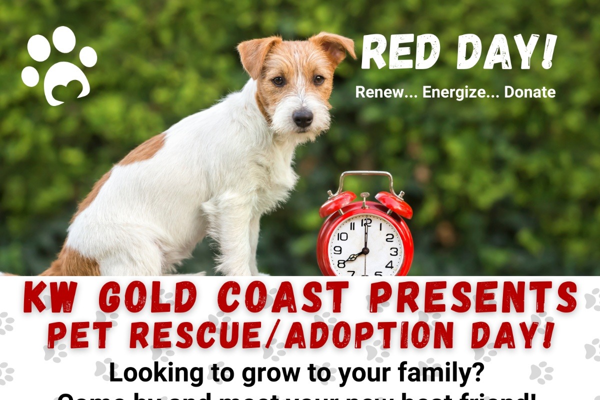 Fundraiser by Christine Collura : KW Red Day Animal Rescue Pet Adoption ...