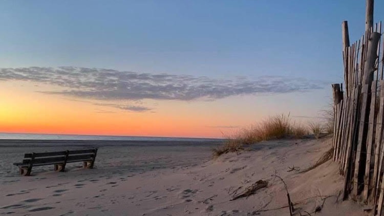 Fundraiser by Remi Lindberg : LBI Memorial Bench in honor of Chloe Belle