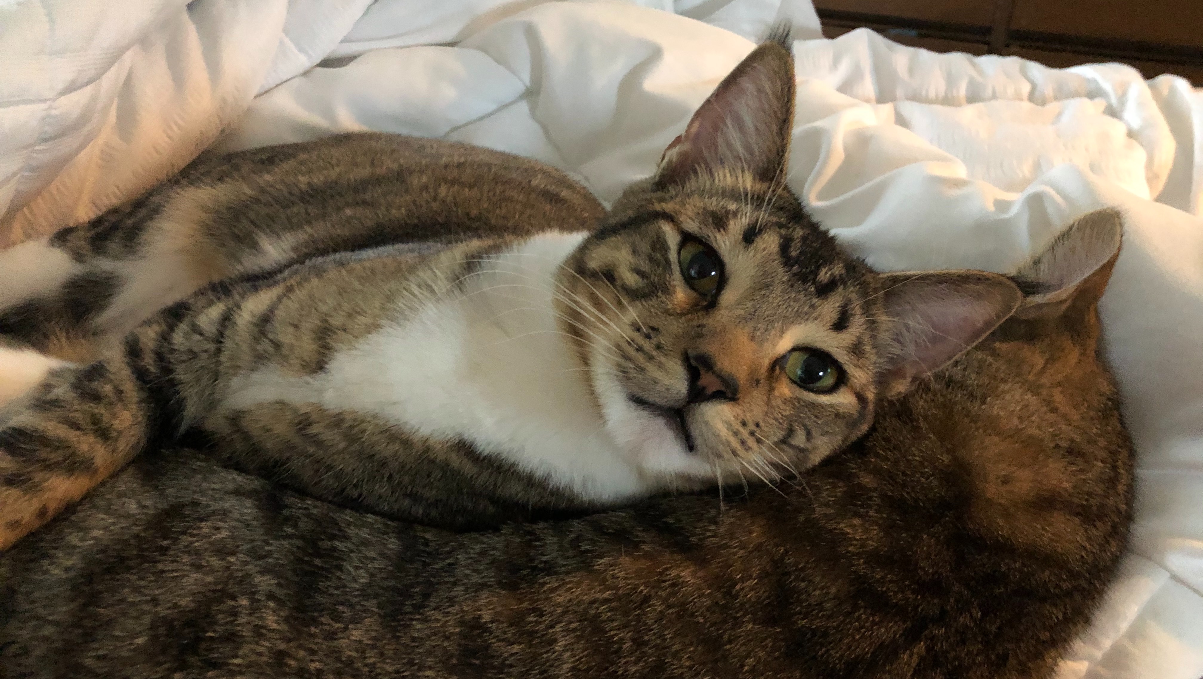 Fundraiser for Jessie Loucks by Michelle Noyes : Help Jessie pay for ...