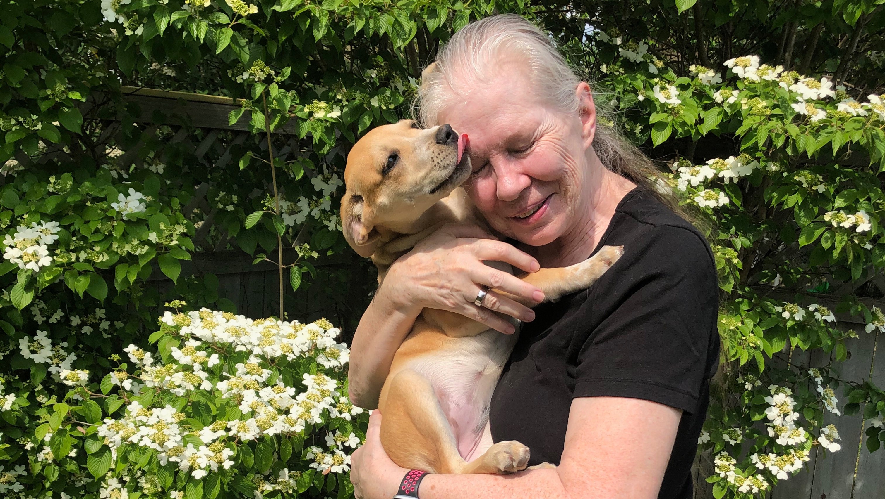 Fundraiser for Heather Previn by Lukas Previn : Help Heather Beat Cancer!