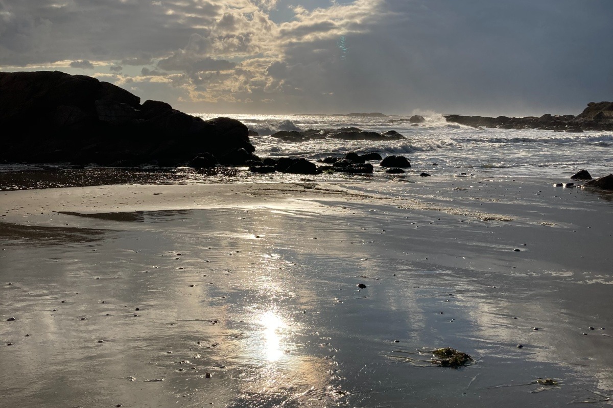 Fundraiser for Donna Crapo by Ty Howe : Help George Chaves after the fire