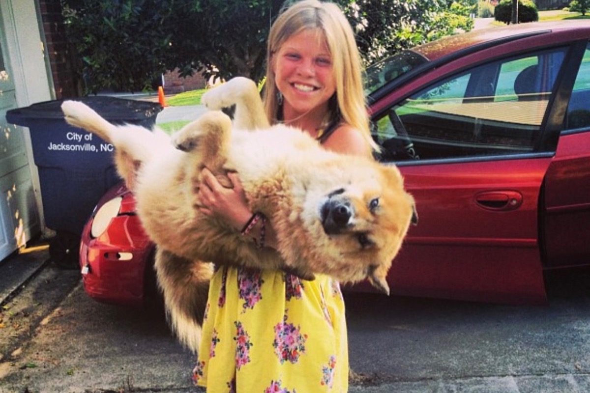 Fundraiser by Chelsea Beard : Help Sarah with Friscos unexpected vet bills