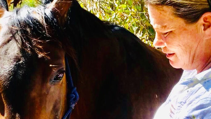 Fundraiser by Elizabeth Ferrier : Yvonne Taylor; Love and Support