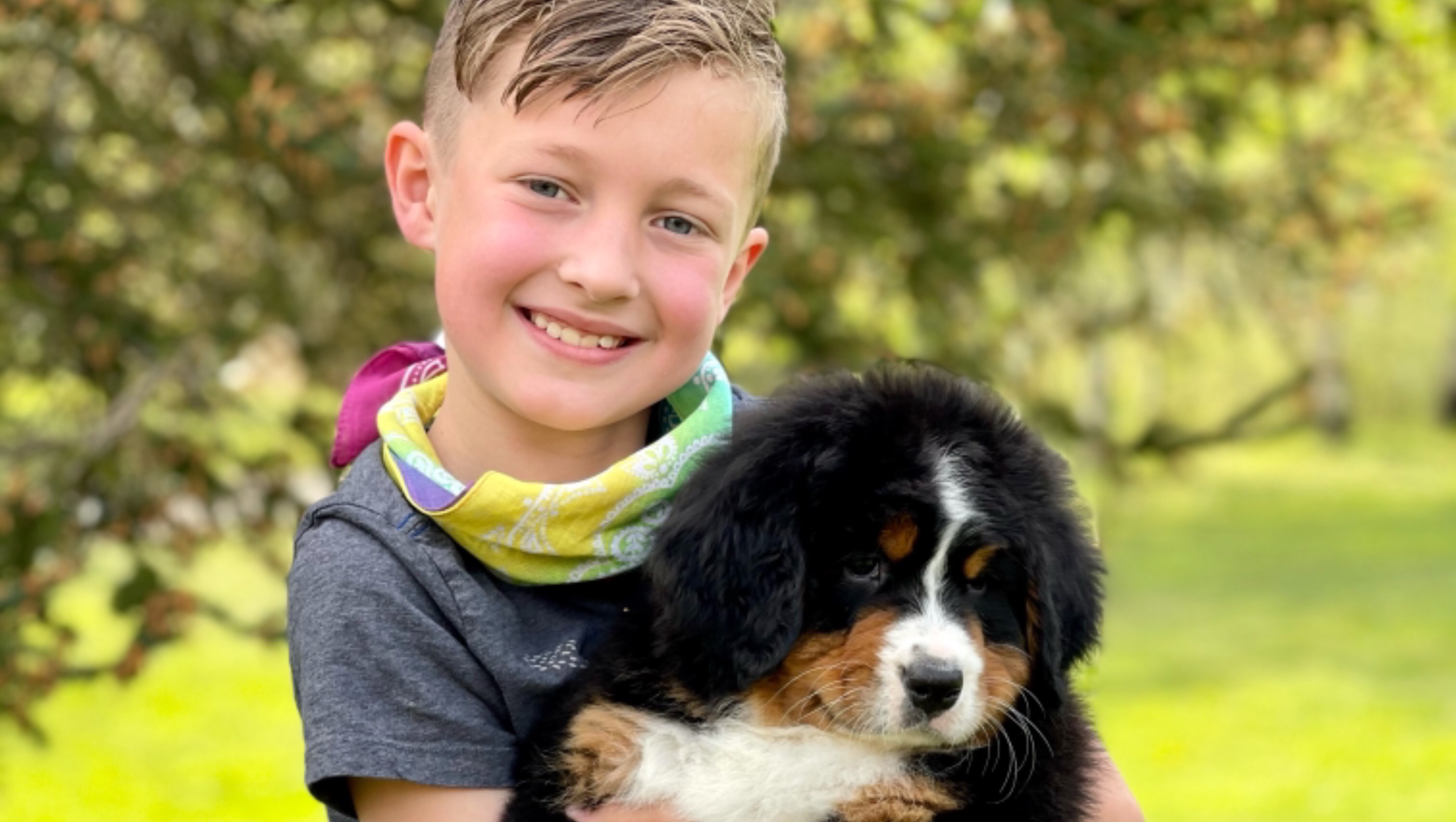 Fundraiser By Eva Sturdy Service Dog For Sawyer fundraiser-by-eva-sturdy-service-dog-for-sawyer