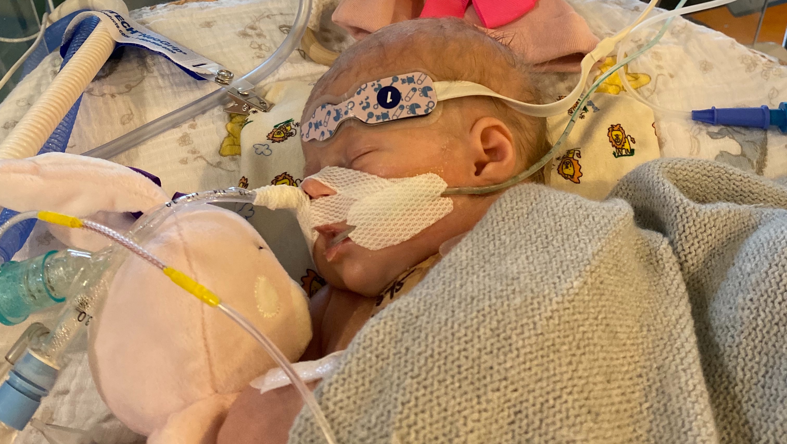 Fundraiser for Megan Epling by Kristina Roy : Winona’s Hospital Expenses