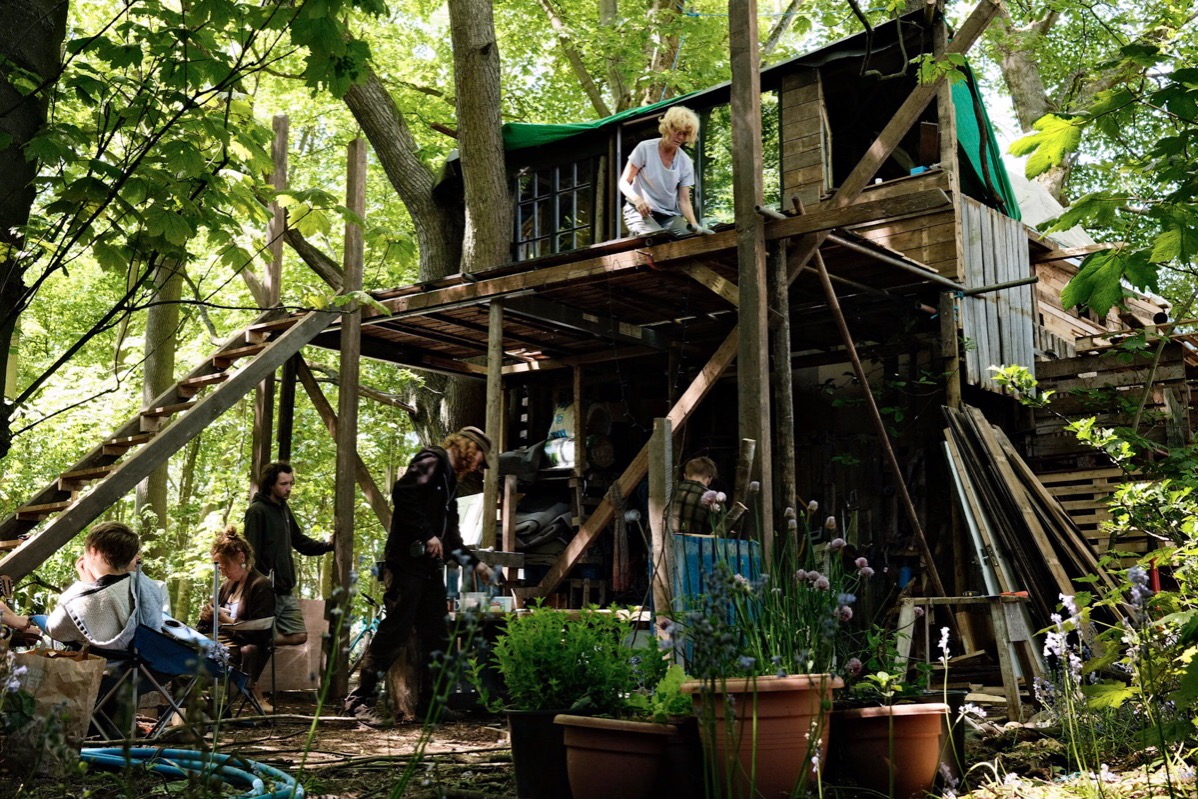 Fundraiser for James Knaggs by Bluebell Wood Protection Camp : Bluebell ...